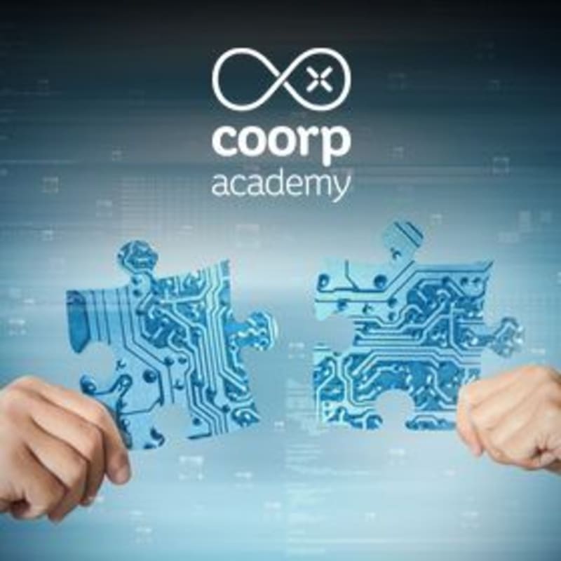 Las API y el ecosistema de datos (APIs and the data ecosystem ...